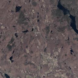 ArcGIS Web Application
