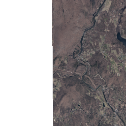 ArcGIS Web Application