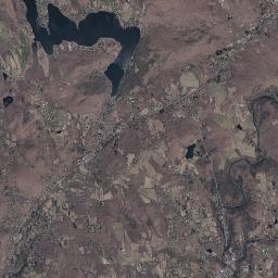 ArcGIS Web Application