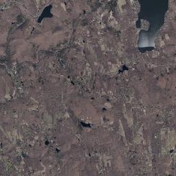 ArcGIS Web Application